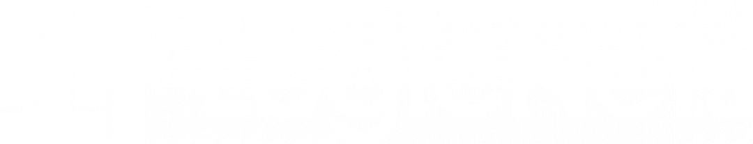 Partners - LogicNets